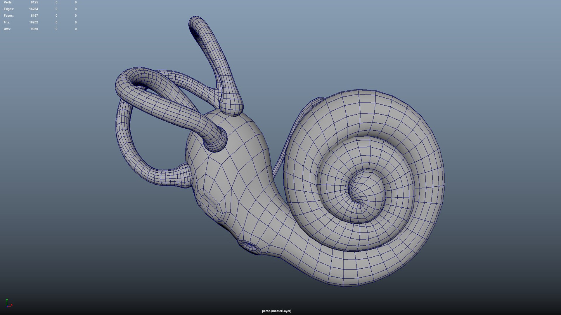 Ear Cochlea Labyrinth Model - TurboSquid 2191611