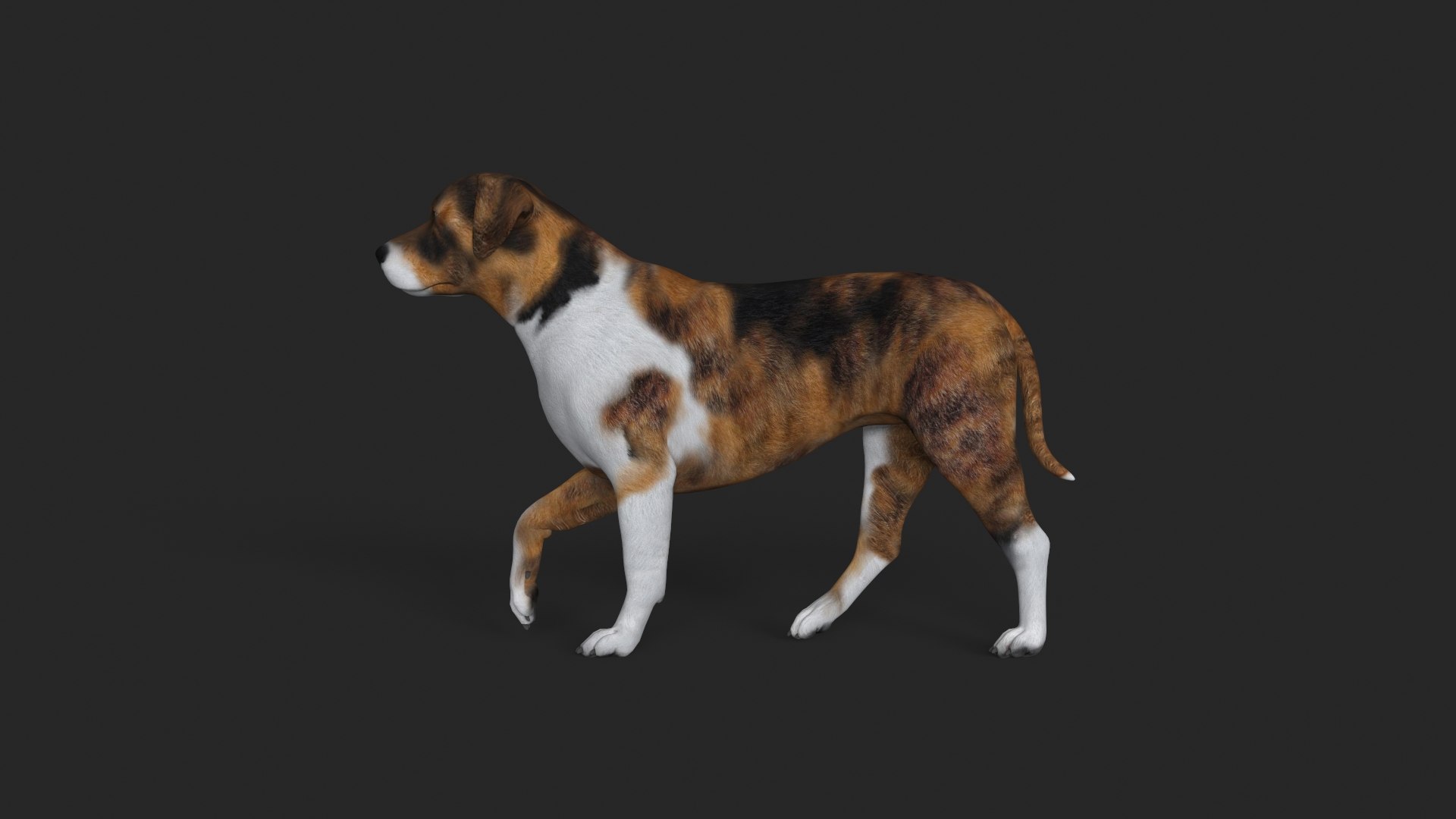 3D LAB-019 Dog Walking - TurboSquid 1914409