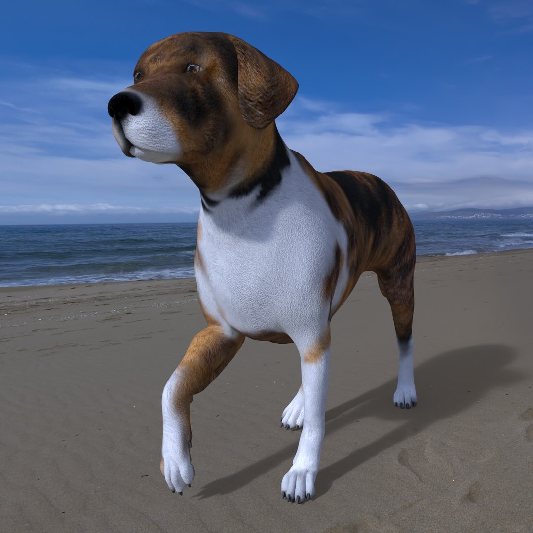3D LAB-019 Dog Walking - TurboSquid 1914409
