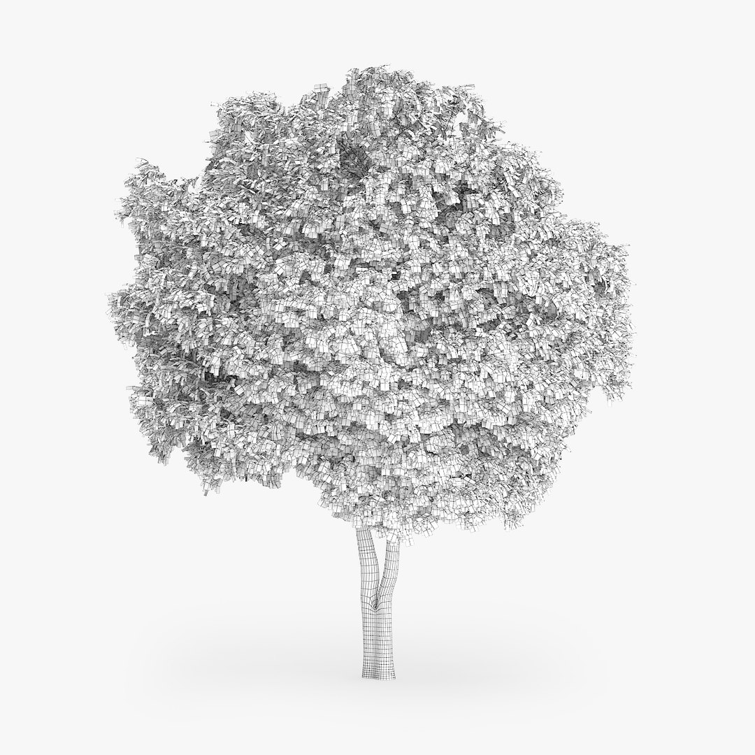 3d silver birch 9 2m