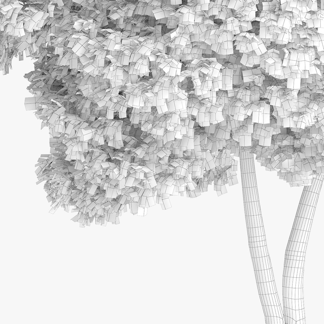 3d silver birch 9 2m