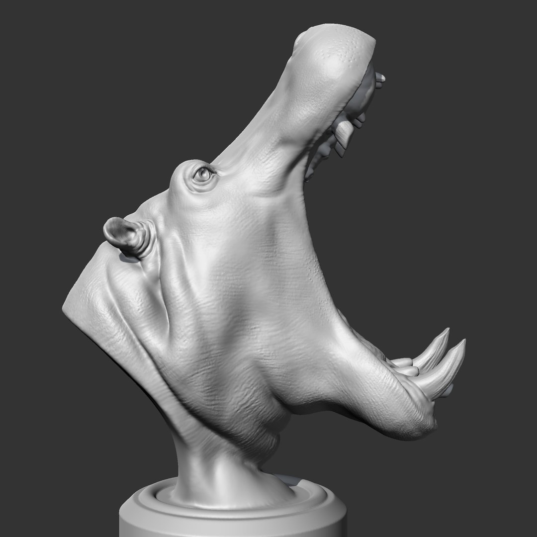 3D Hippo Head AM11 3D print model model - TurboSquid 2065461