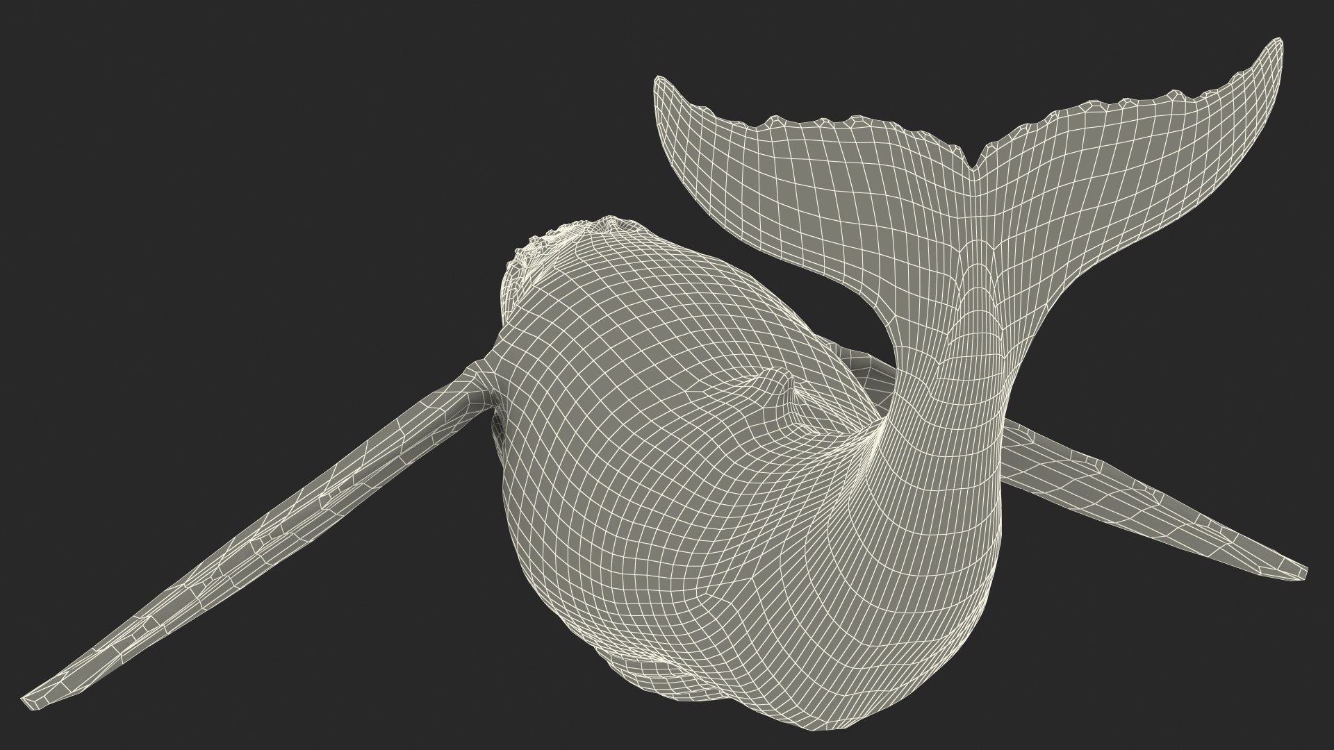 3D Megaptera Novaeangliae - TurboSquid 2271109