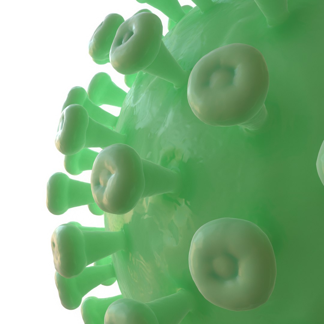 Coronavirus virus 3D model - TurboSquid 1500106