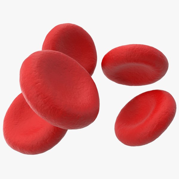 3D Anatomie-Red-Blood-Cell Models | TurboSquid