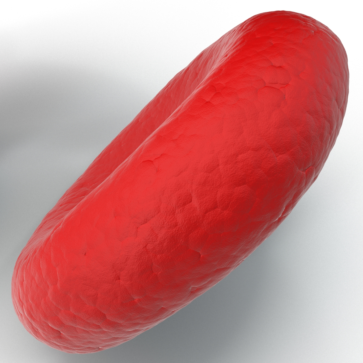 3d model red blood cell