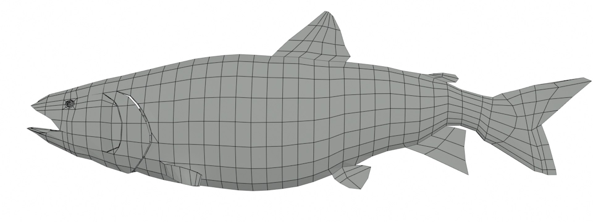 3d Model Lake Trout
