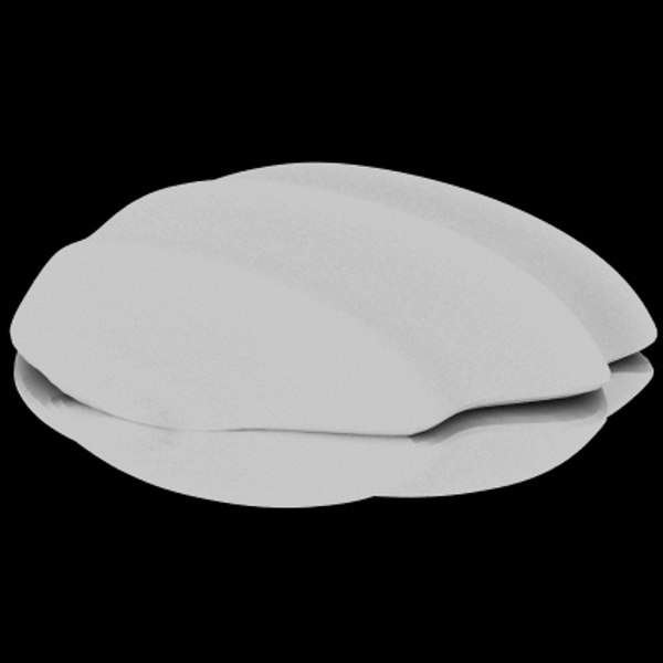 3d model oyster