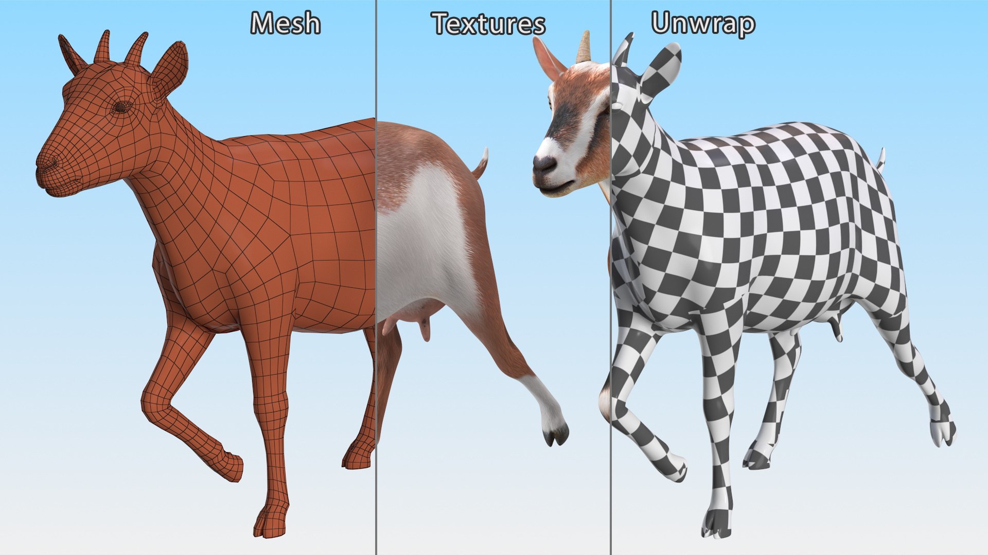Walking Goat 3D Model - TurboSquid 1991766