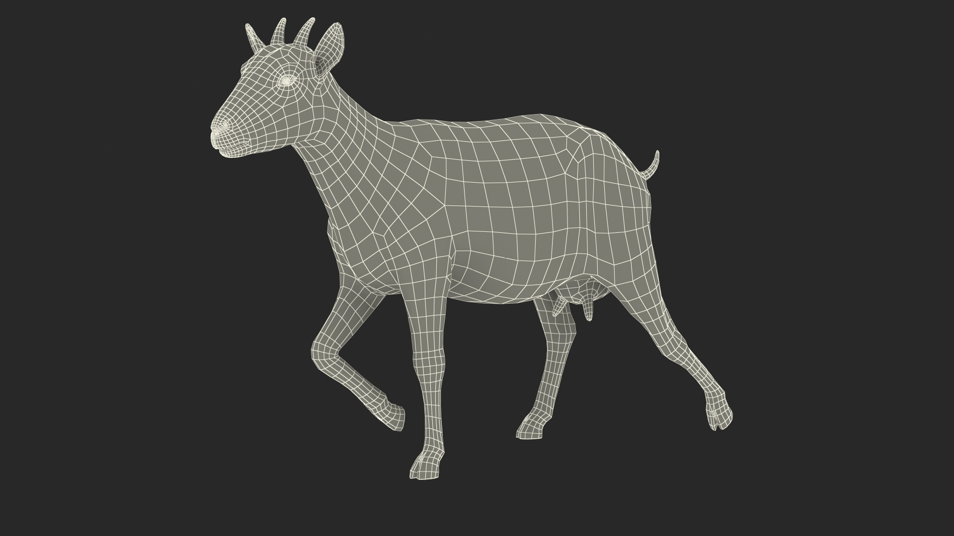 Walking Goat 3D Model - TurboSquid 1991766