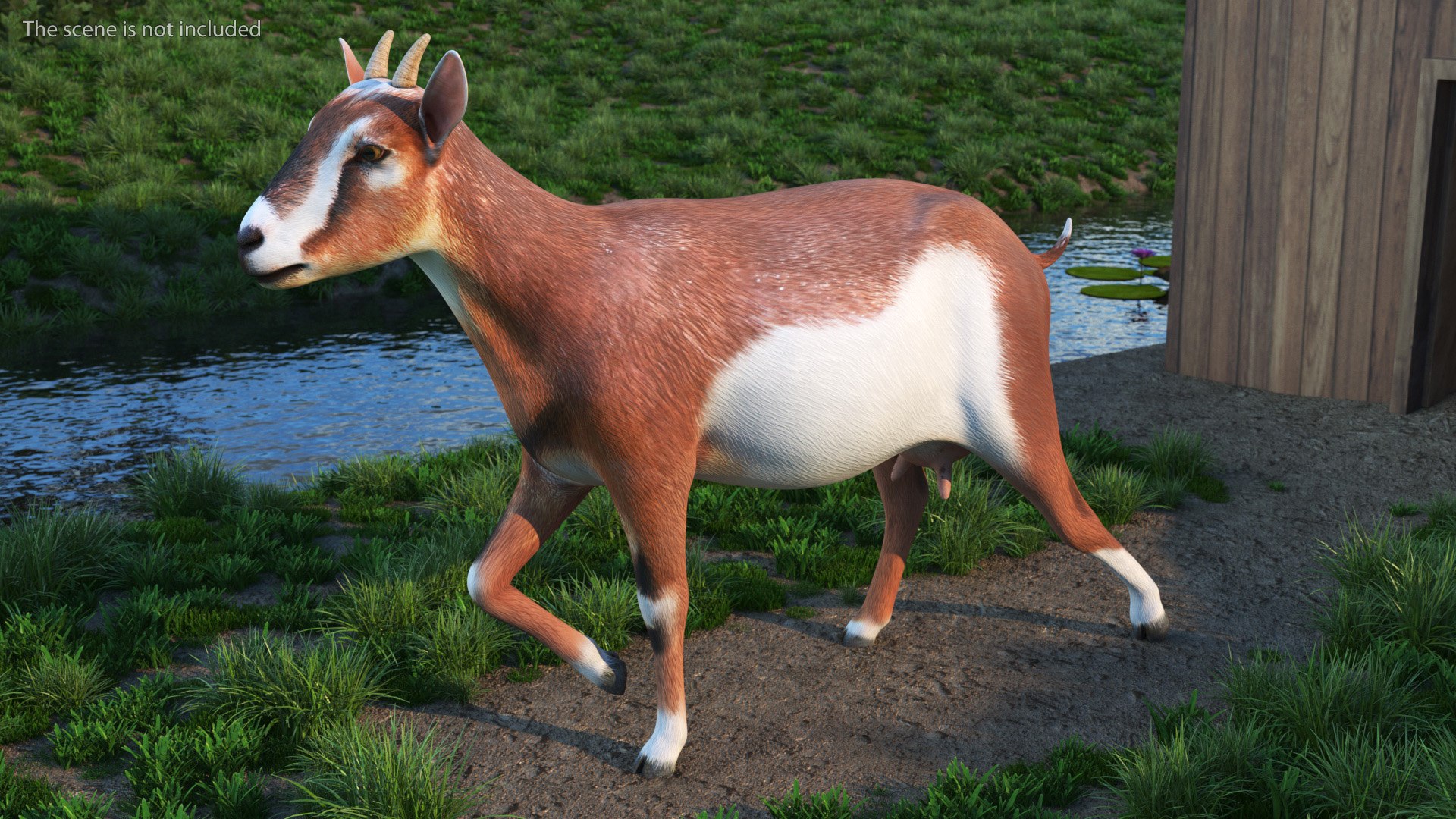 Walking Goat 3D Model - TurboSquid 1991766
