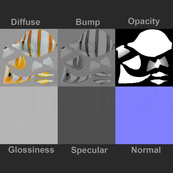 Copperband butterflyfish rigged 3D model - TurboSquid 1513872