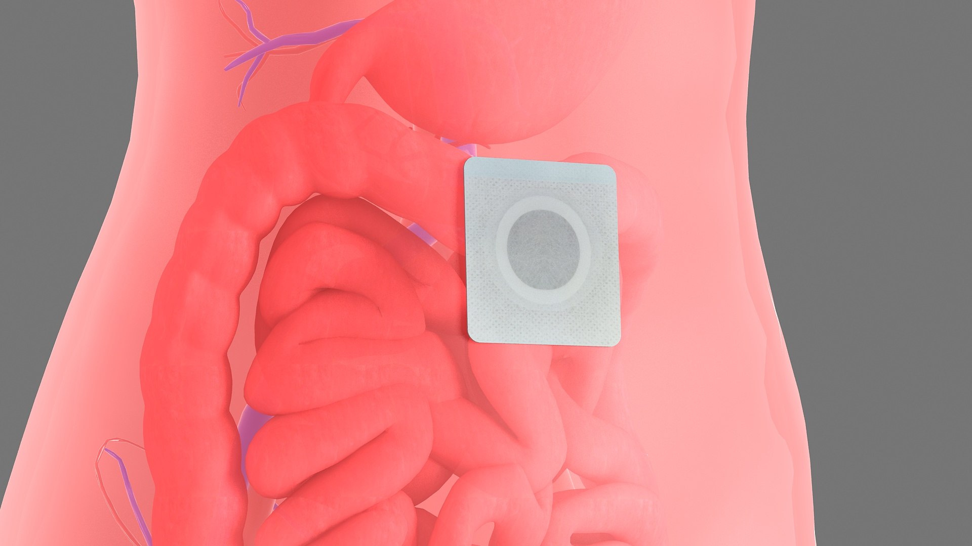 Stomach patch magnetic patch animation 3D - TurboSquid 2156007