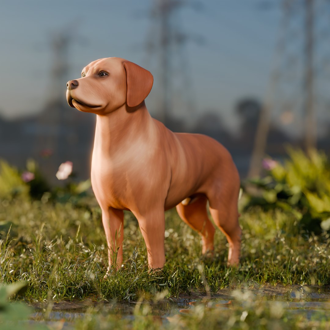 3D Dog Labrador Retriever Animal - TurboSquid 2274816