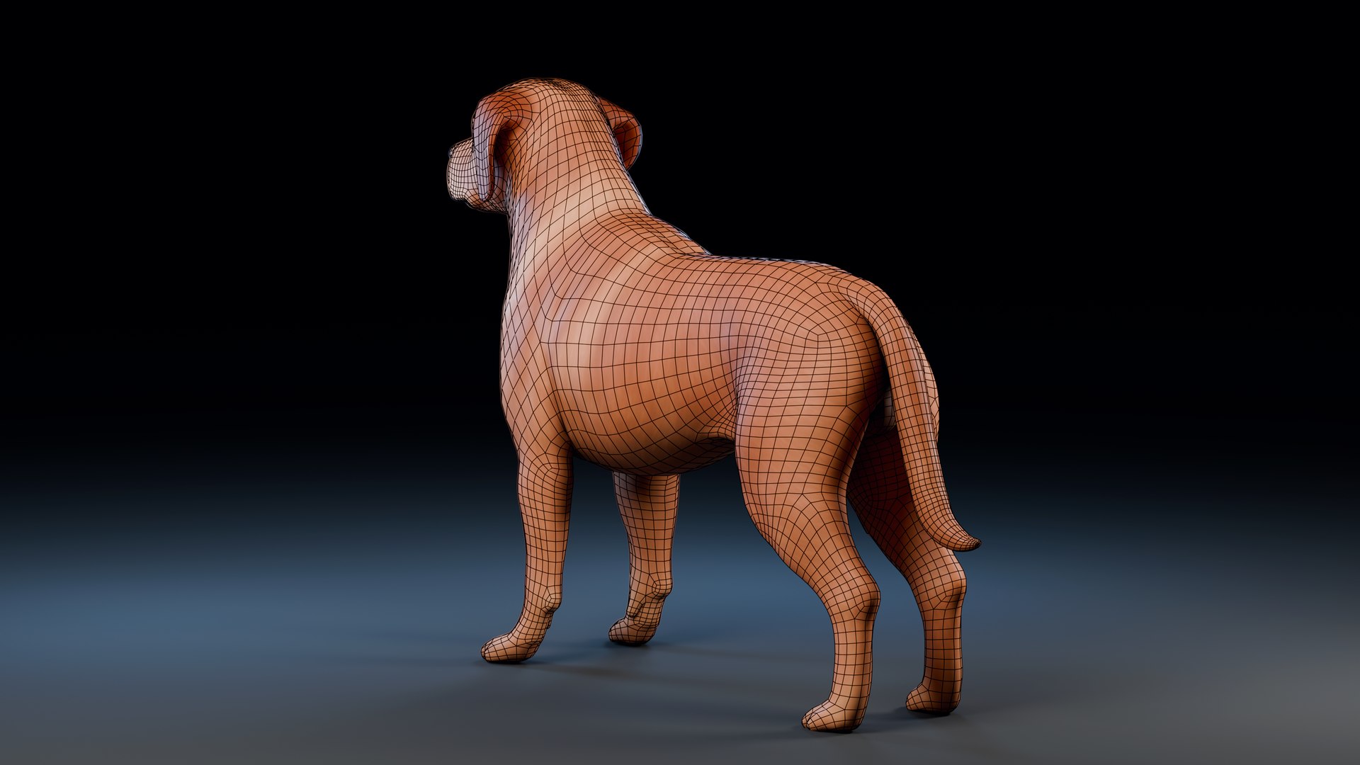 3D Dog Labrador Retriever Animal - TurboSquid 2274816