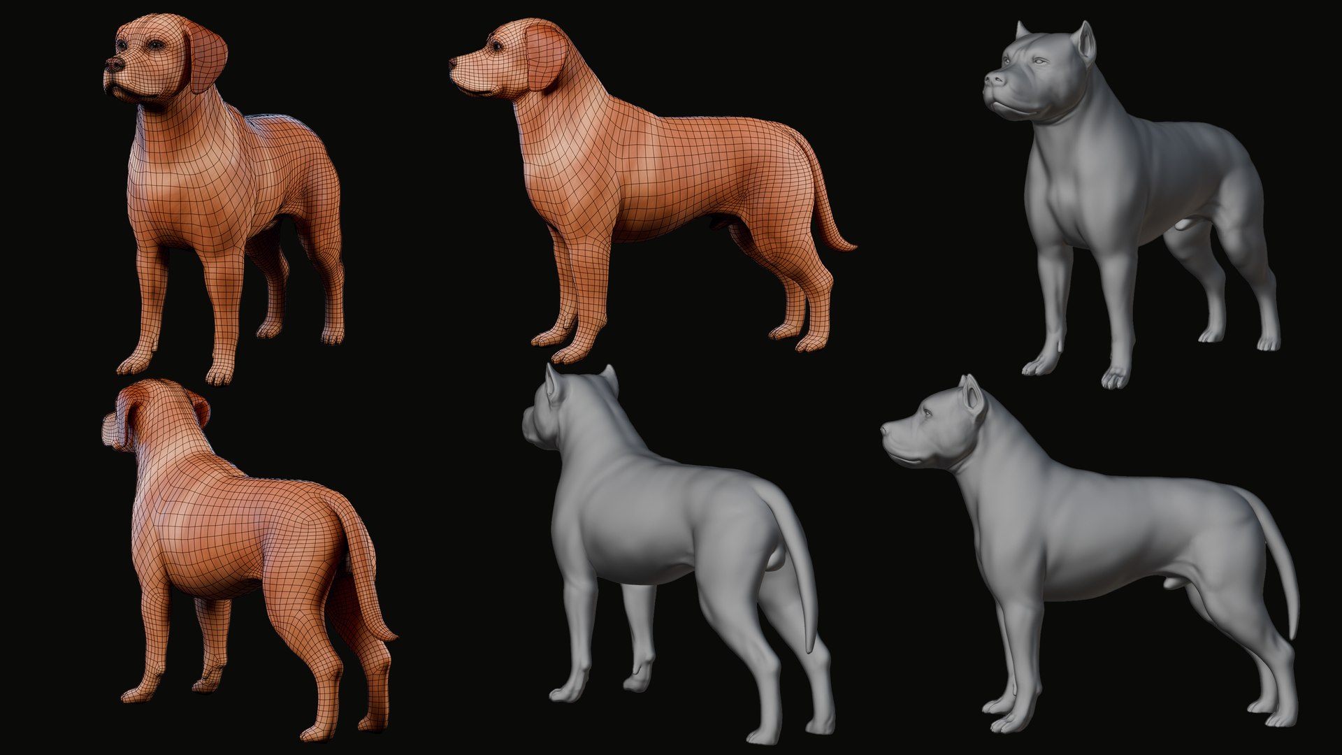 3D Dog Labrador Retriever Animal - TurboSquid 2274816