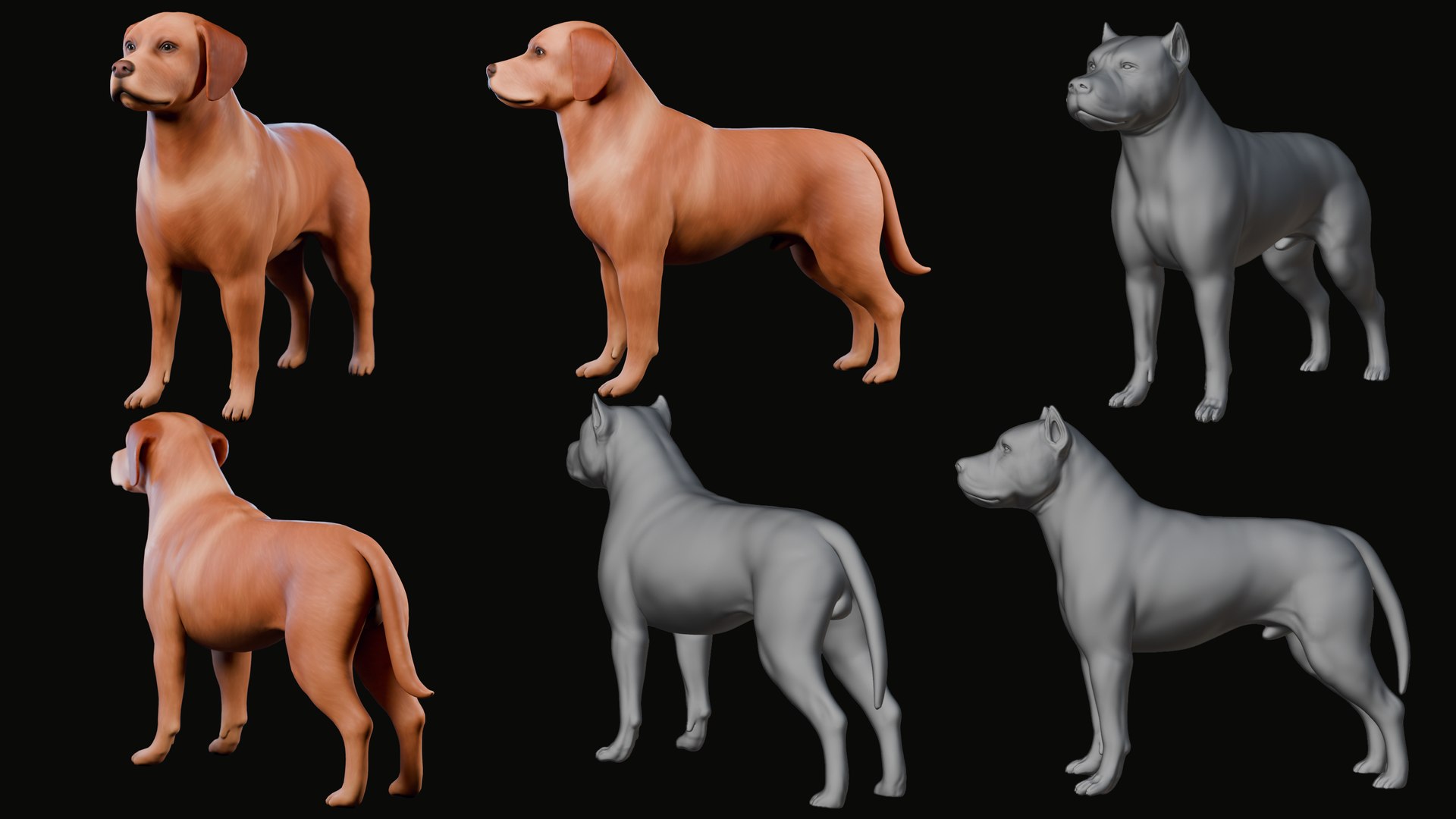 3D Dog Labrador Retriever Animal - TurboSquid 2274816
