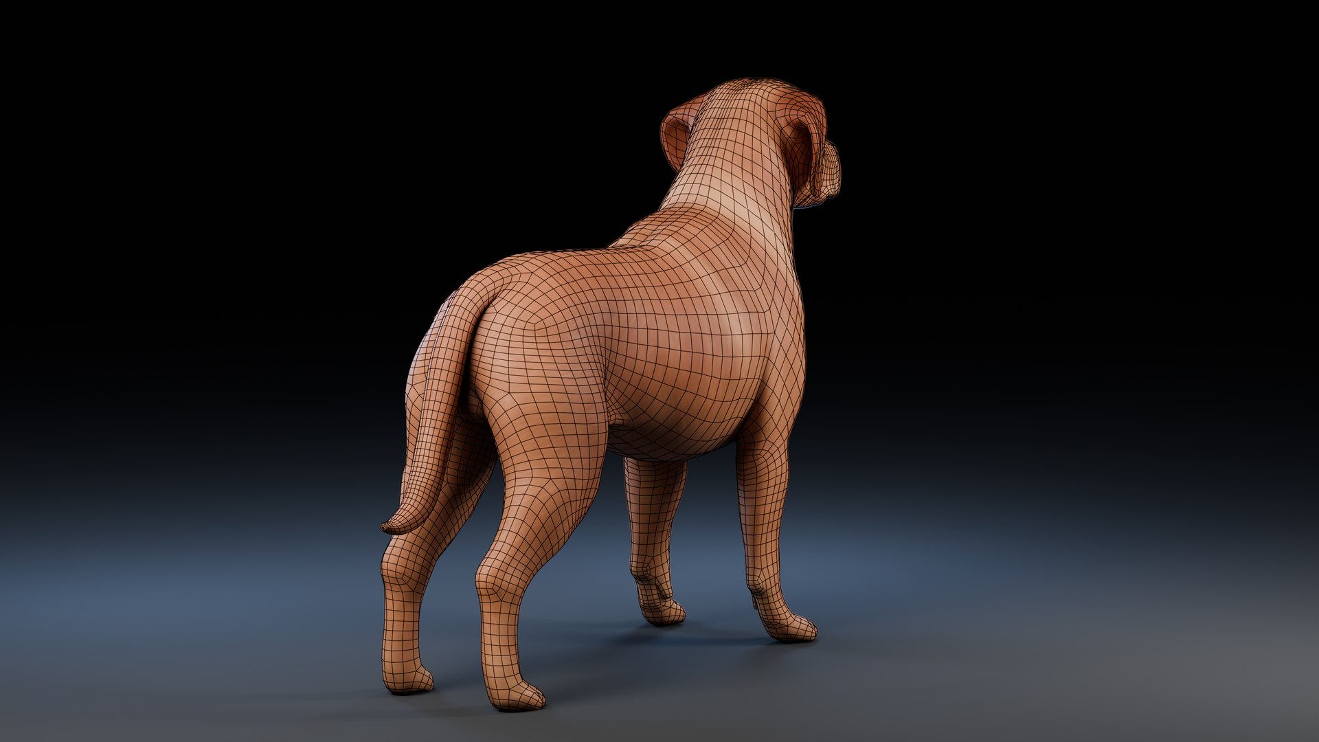 3D Dog Labrador Retriever Animal - TurboSquid 2274816