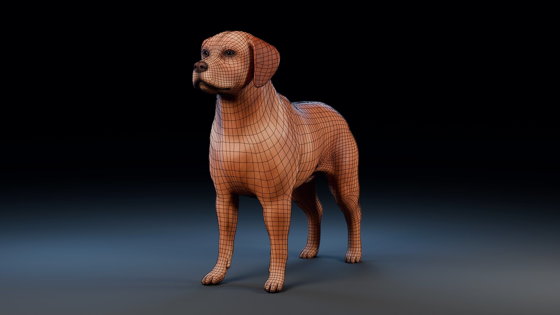 3D Dog Labrador Retriever Animal - TurboSquid 2274816