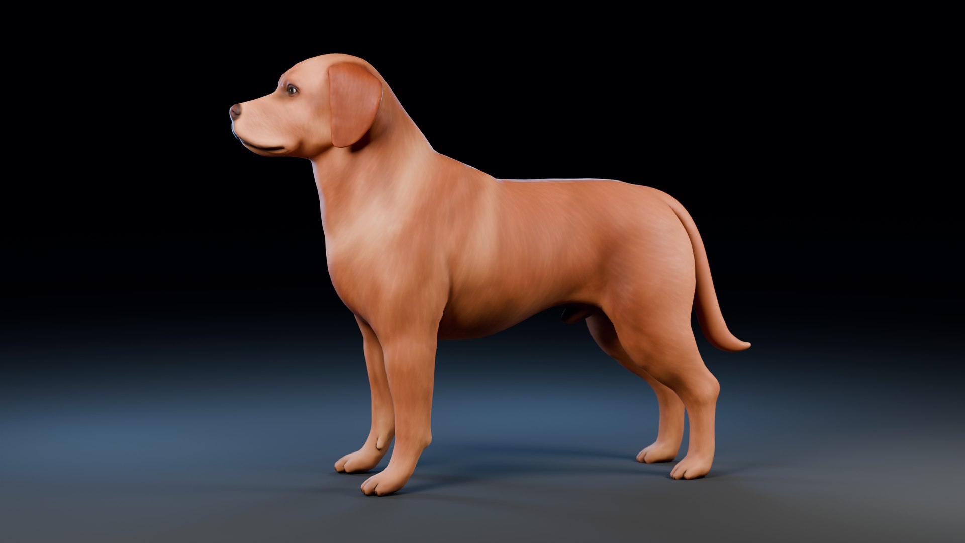 3D Dog Labrador Retriever Animal - TurboSquid 2274816