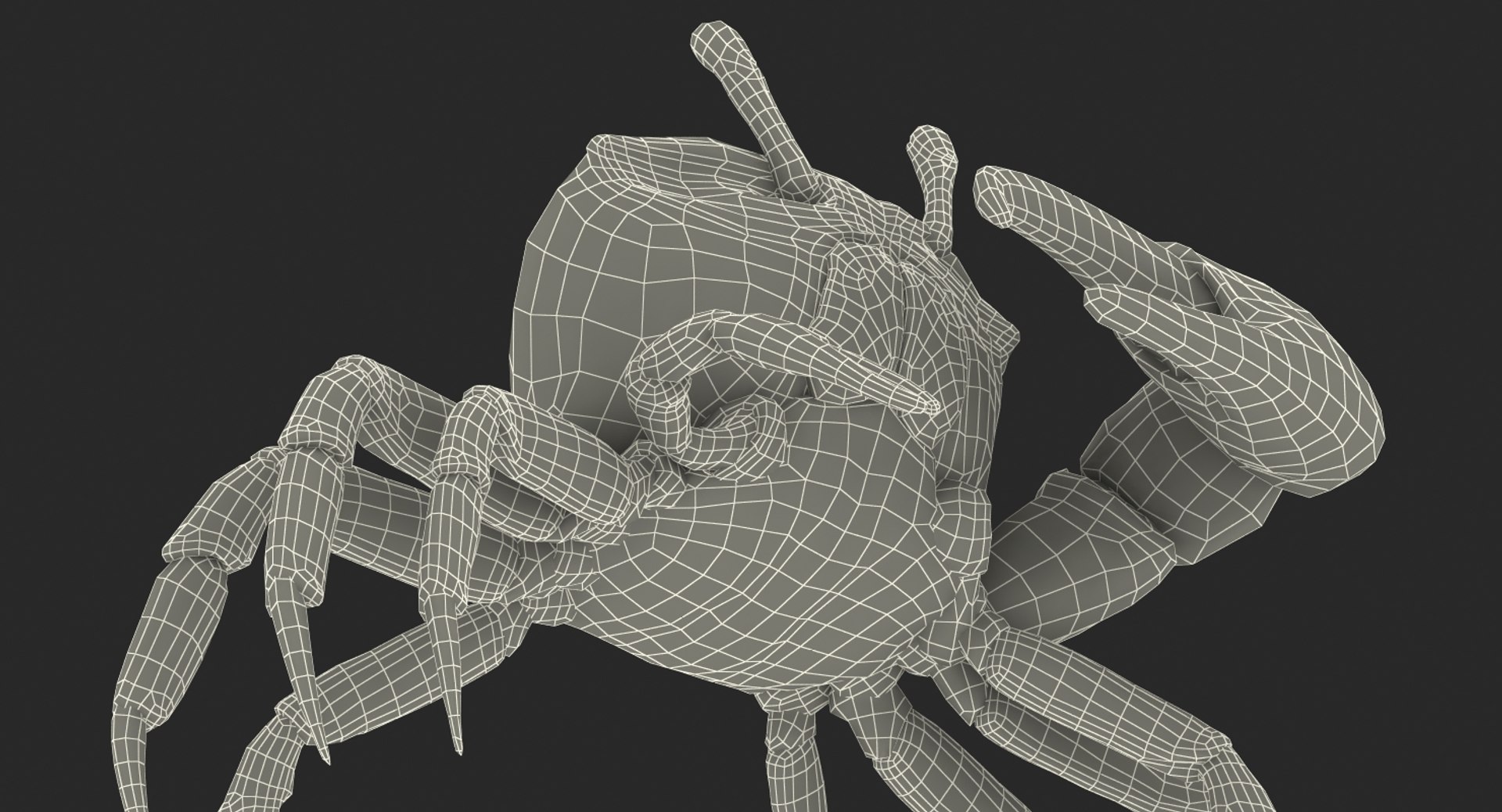 3d Fiddler Crab Standing Pose Model