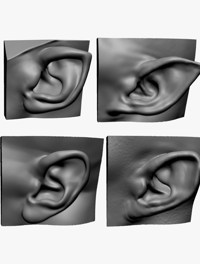 Ear Models 3D Model - TurboSquid 1891982
