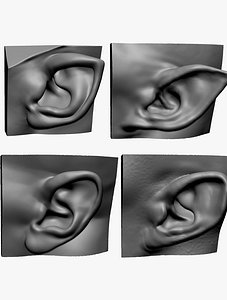 Ear STL Models for Download | TurboSquid