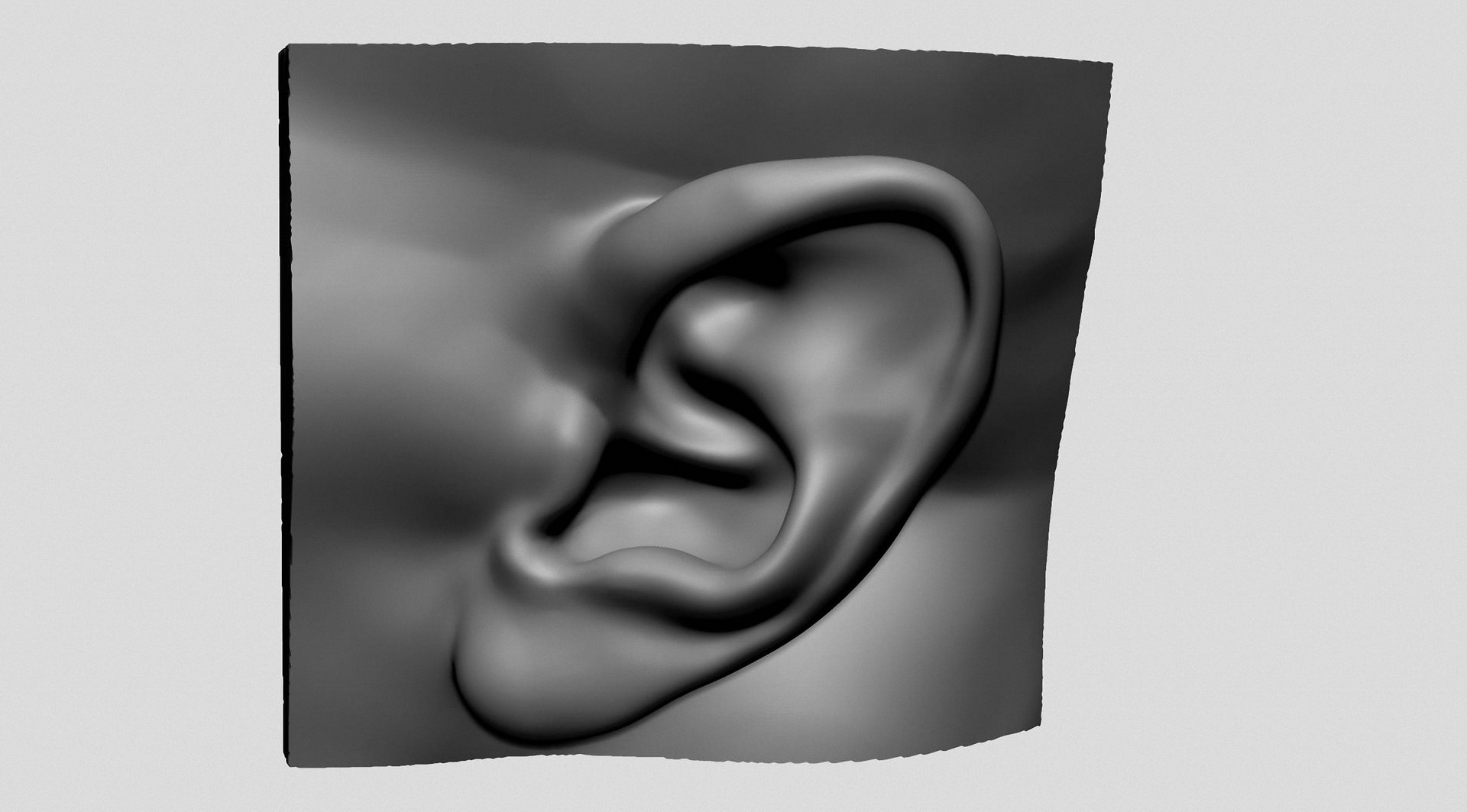 Ear Models 3D Model - TurboSquid 1891982