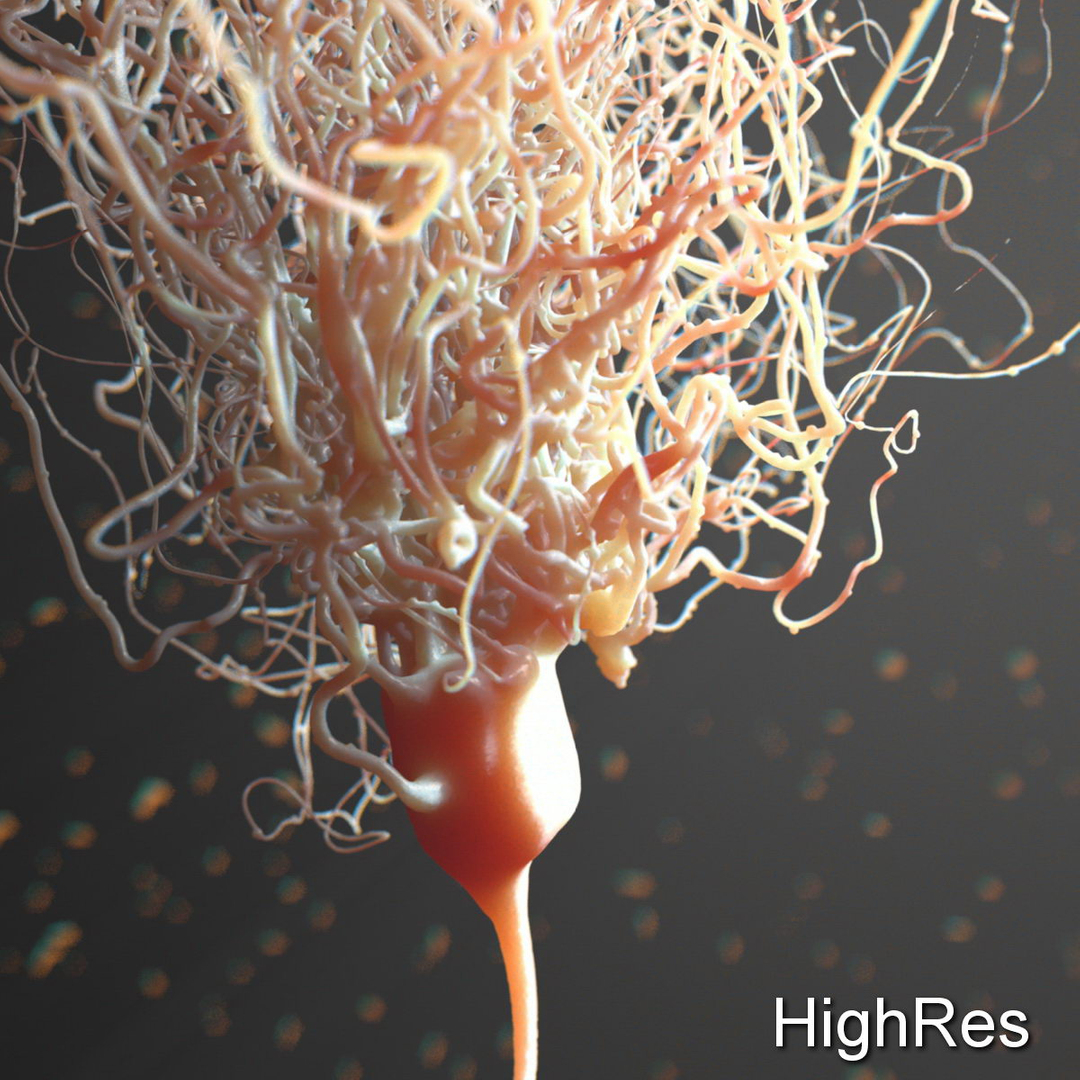 C4d Dying Neuron