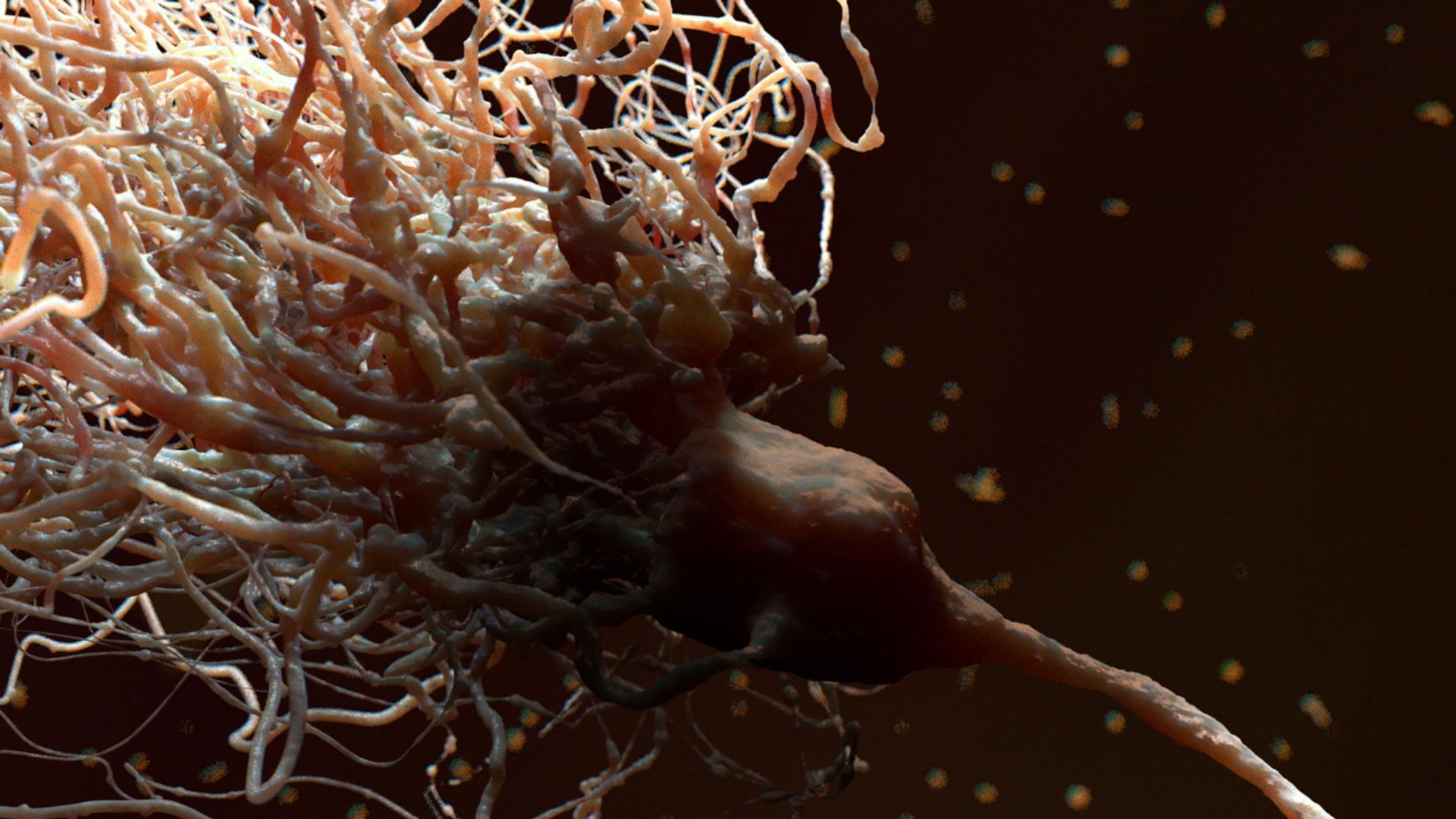 C4d Dying Neuron