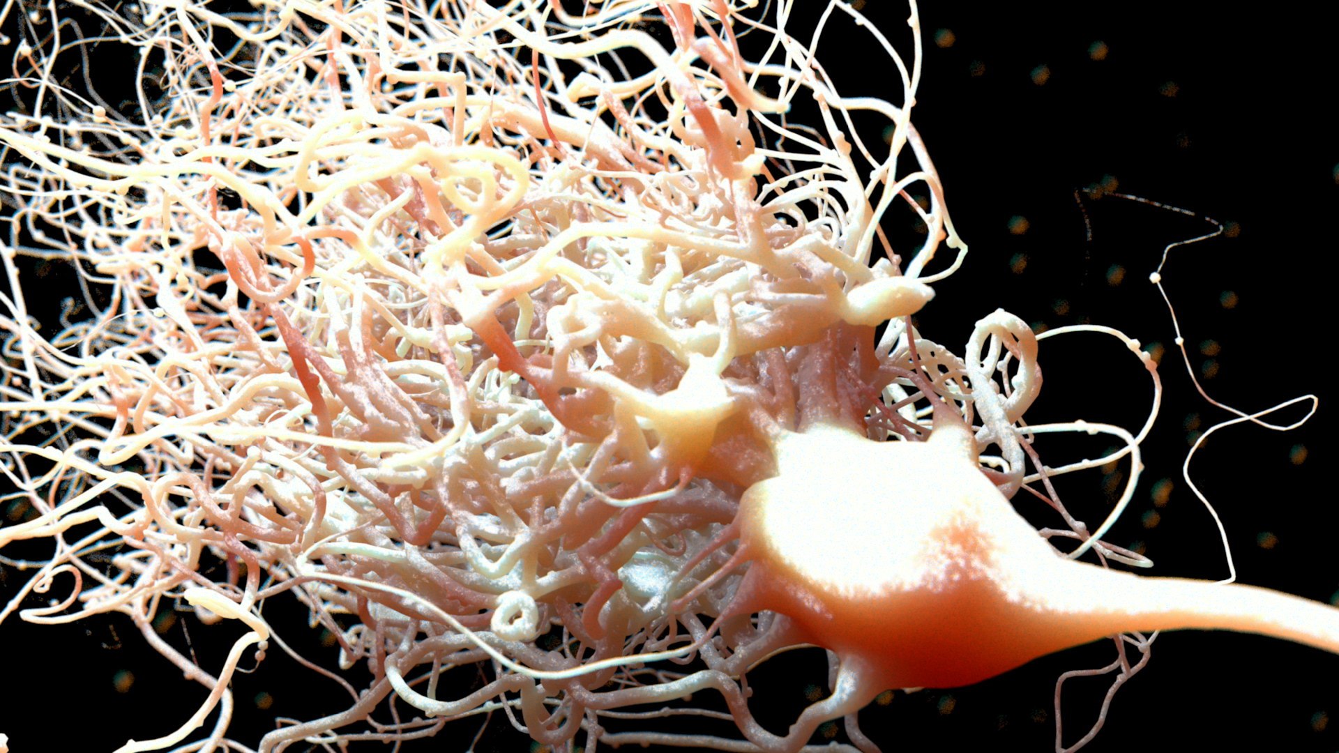 C4d Dying Neuron