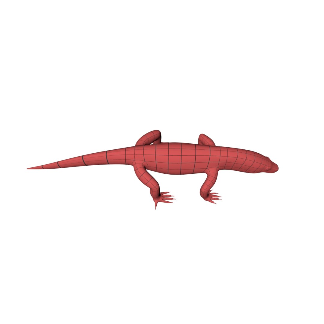 3d Base Mesh Komodo Dragon Model