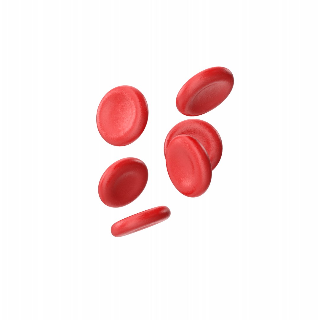 3D Model Blood Cells - TurboSquid 2202562