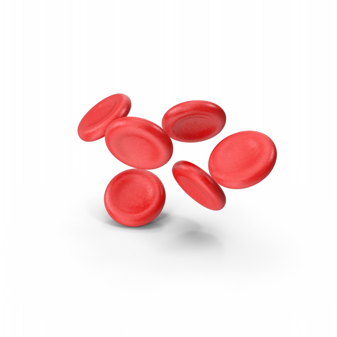 3D Model Blood Cells - TurboSquid 2202562