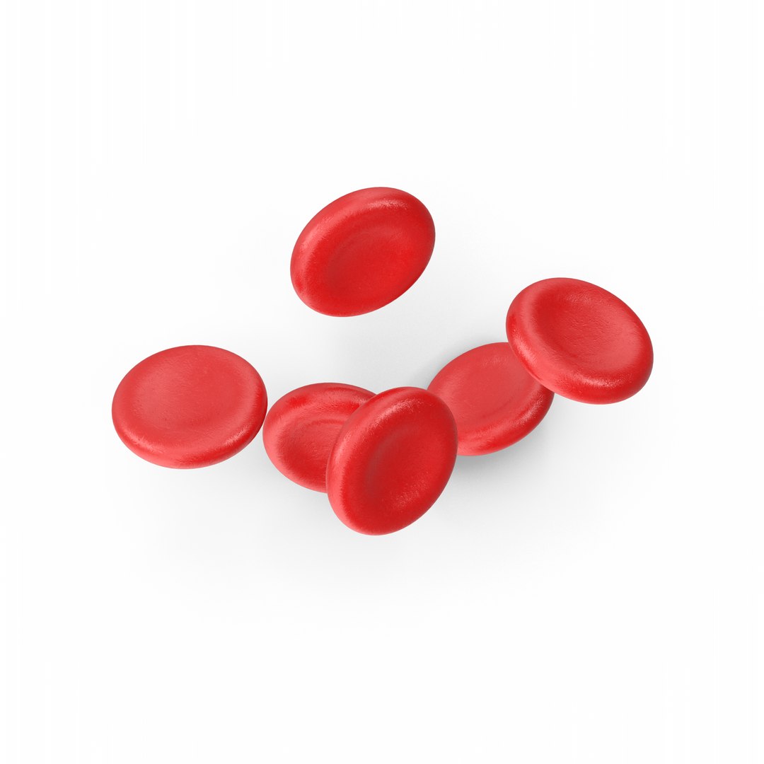 3D Model Blood Cells - TurboSquid 2202562