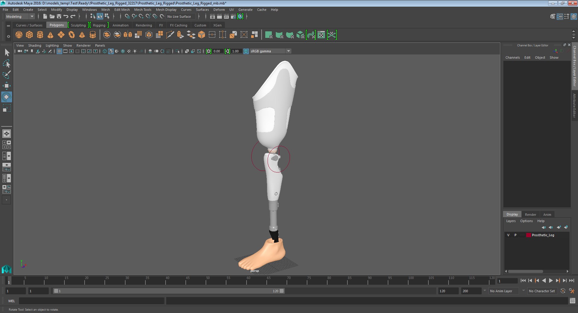3d Prosthetic Leg Rigged