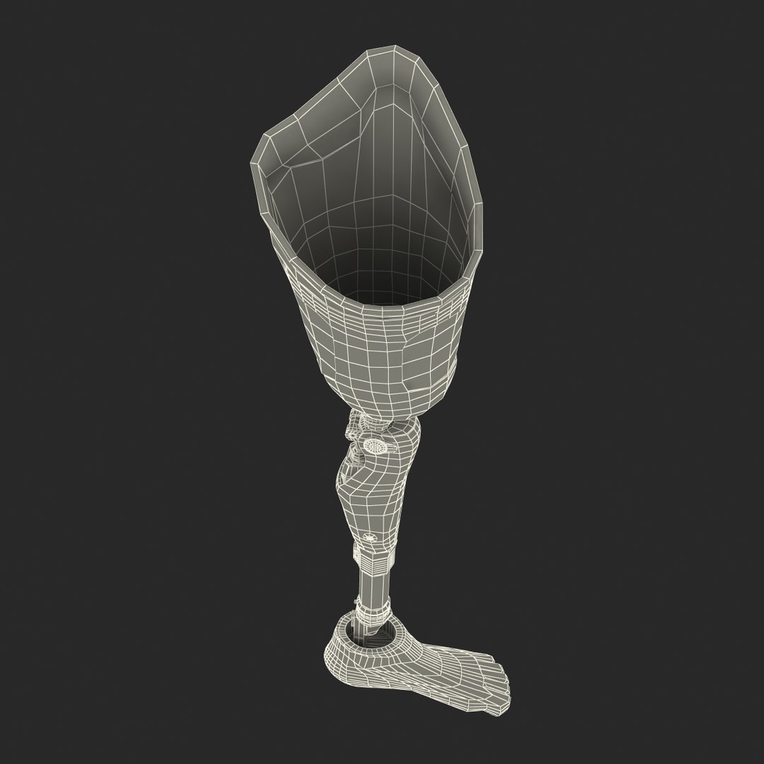 3d Prosthetic Leg Rigged