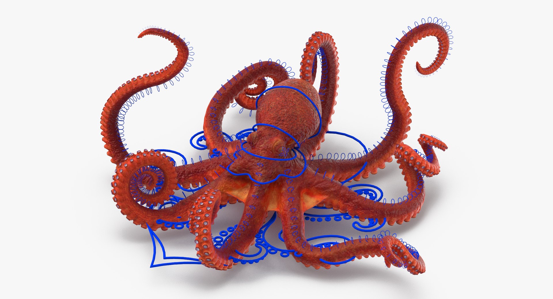 octopus rigged - max