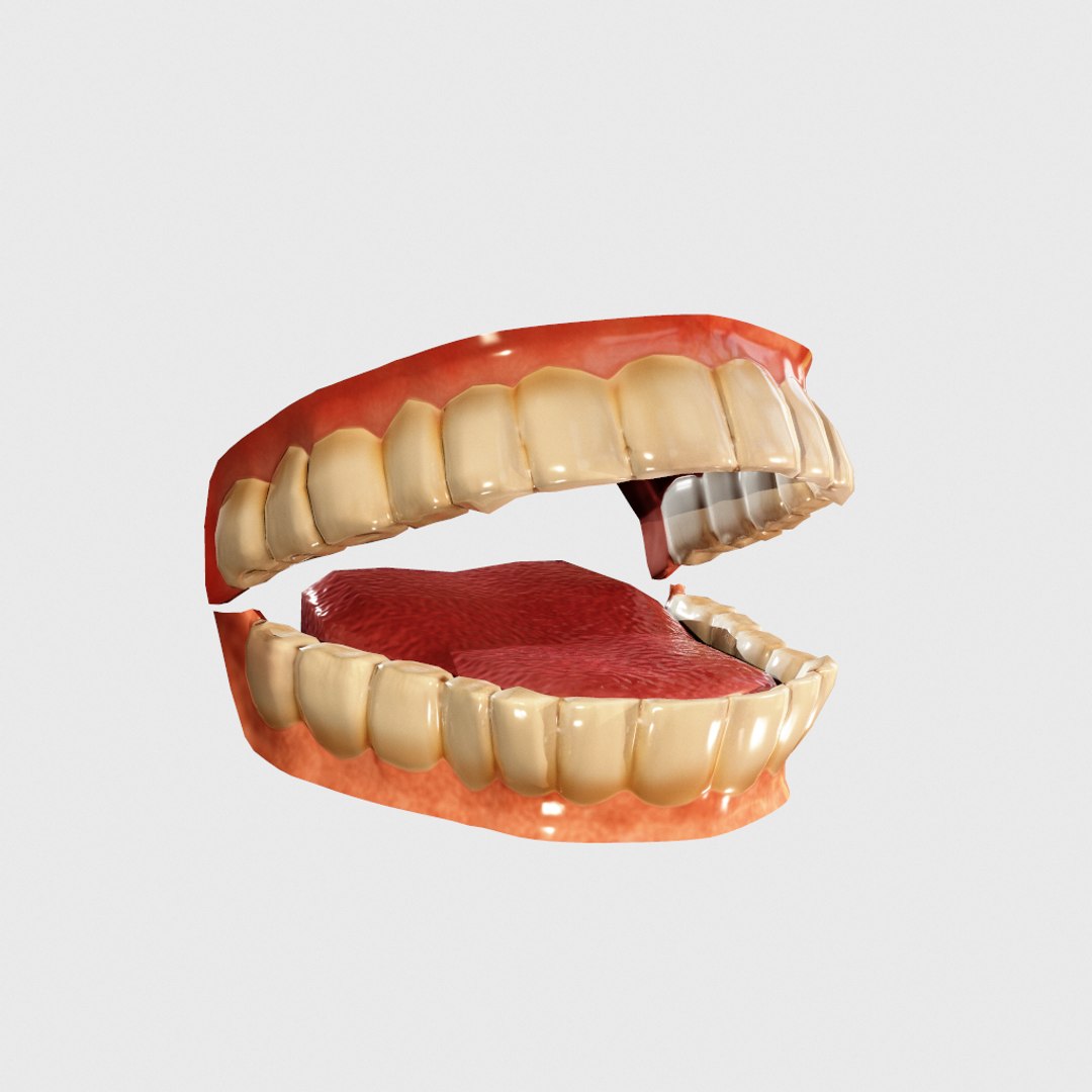 Teeth 3D Model - TurboSquid 1362138