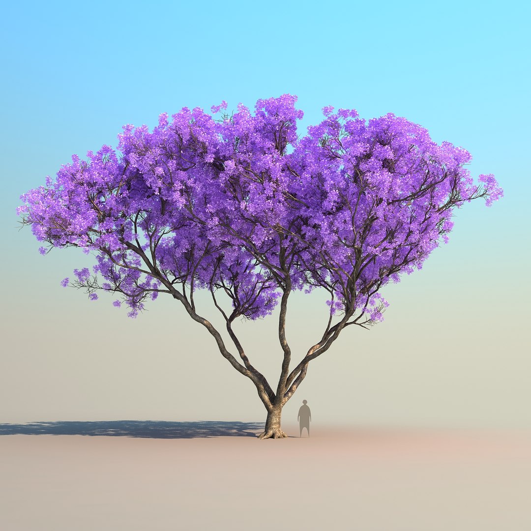 3d Flower Tree Model