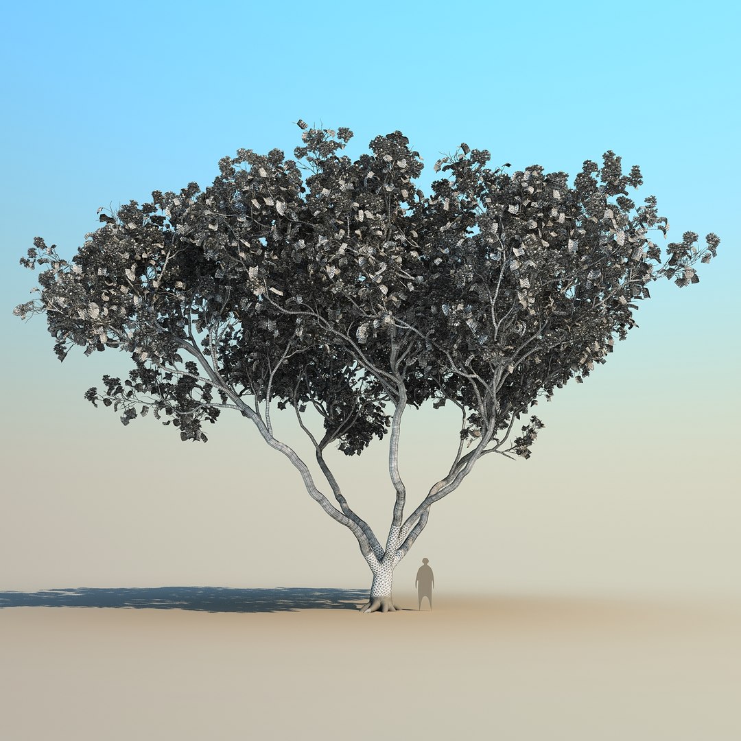 3d Flower Tree Model