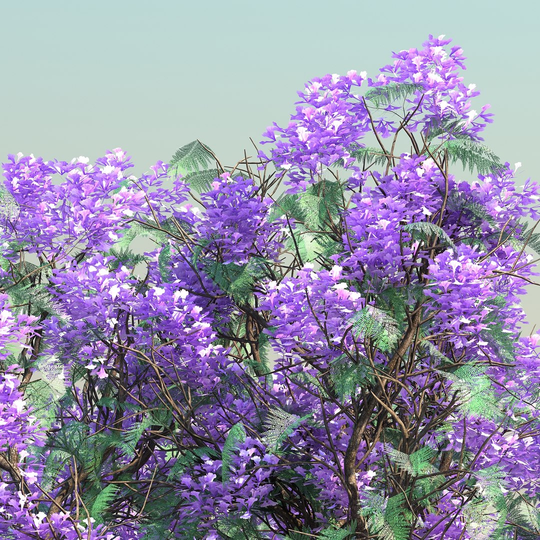 3d Flower Tree Model
