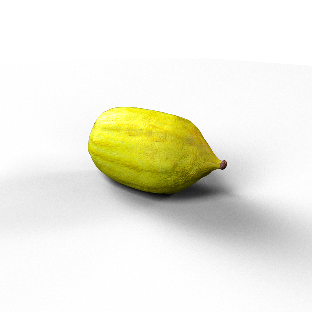 Etrog Citron Jews 3D Model - TurboSquid 1640133
