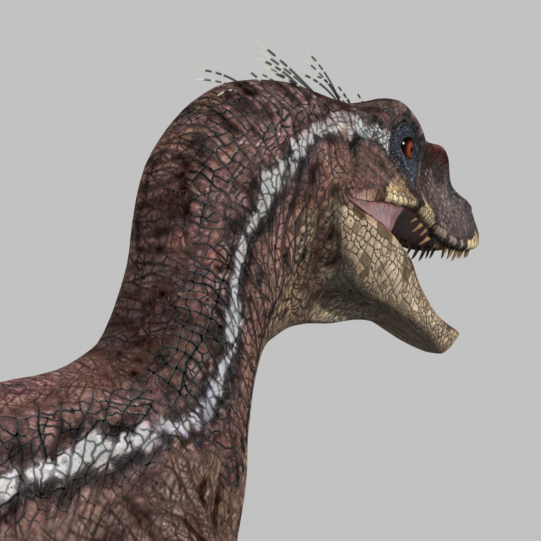 3D raptor - model - TurboSquid 1705307