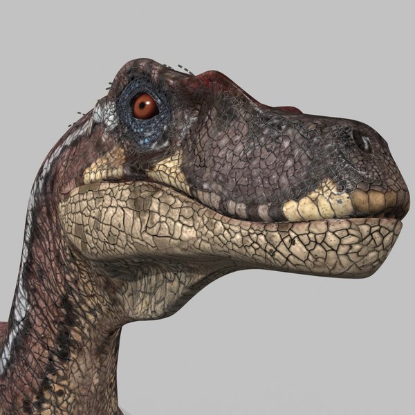 3D raptor - model - TurboSquid 1705307