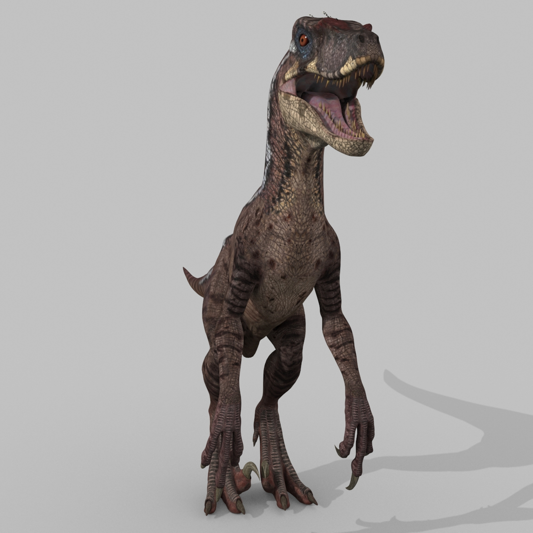 3D raptor - model - TurboSquid 1705307