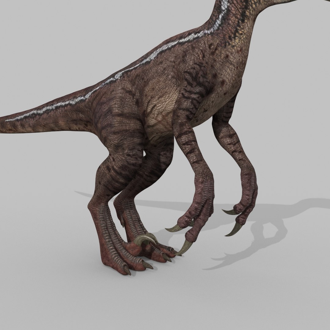 3D raptor - model - TurboSquid 1705307