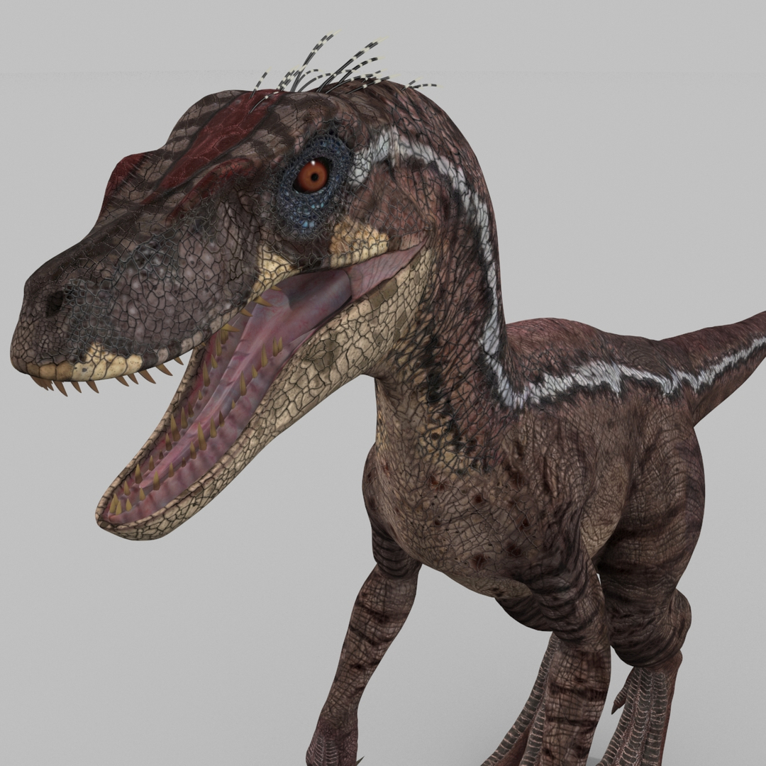 3D raptor - model - TurboSquid 1705307