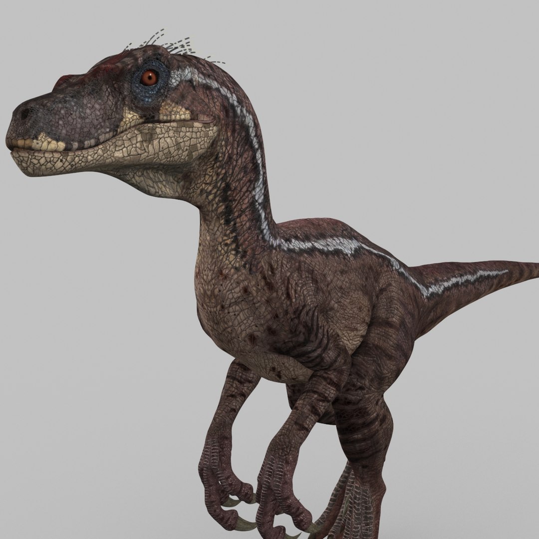 3D raptor - model - TurboSquid 1705307