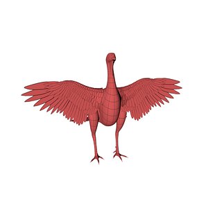 3D Turkey Models | TurboSquid